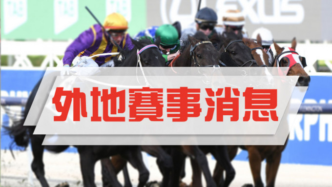 馬場浮世繪馬會擬下月轉播太平洋經典賽 星島日報