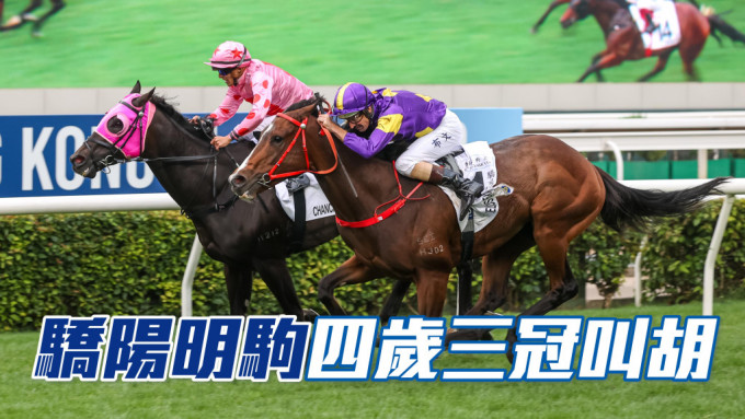 香港經典盃 驕陽明駒再下一城 揚威香港經典盃 星島日報