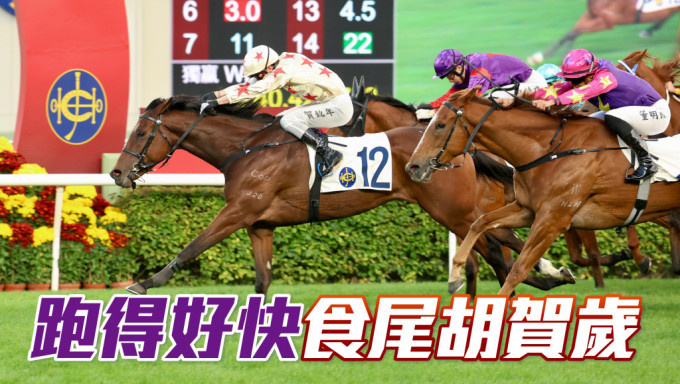 馬場密探048跑得好快食尾胡賀歲 星島日報