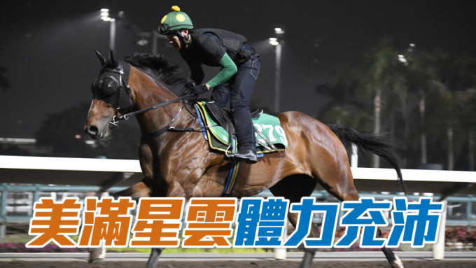 內圈捕影美滿星雲體力充沛 星島日報